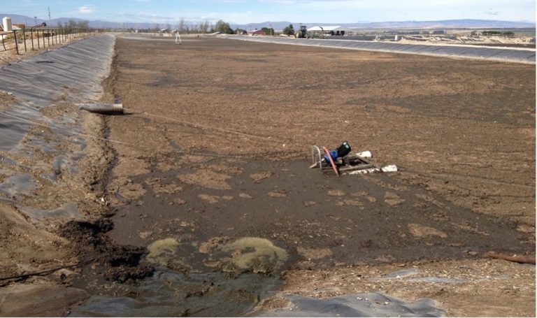 Carbon Neutral - BioFiltro