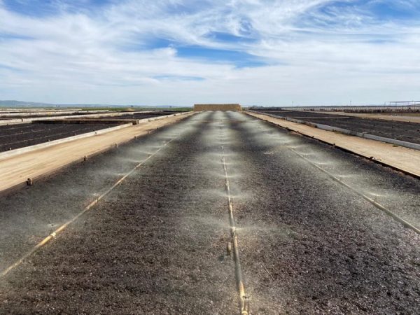 Carbon Neutral - BioFiltro