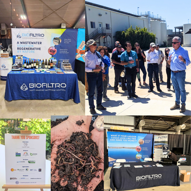 The VermiDigest: June 2024 – BioFiltro